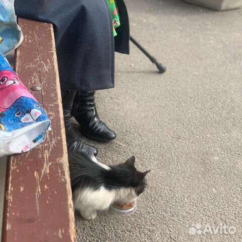 Хочу жить