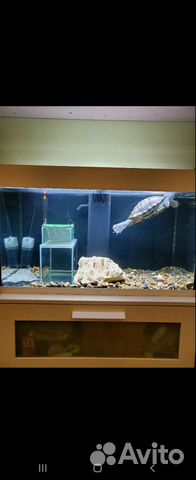 Аквариум Jewel 125 литров