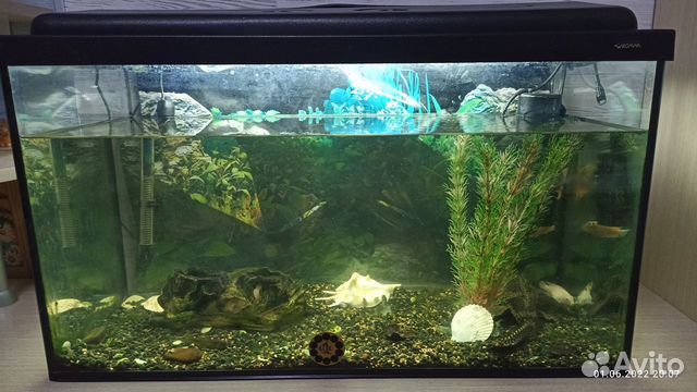 Аквариум