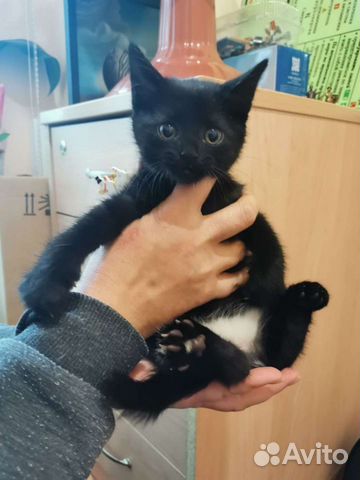 Очень нужна мама