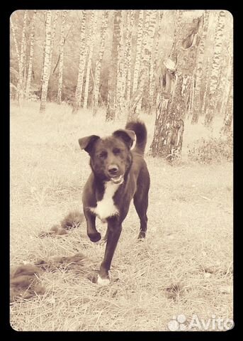 Ребенку из приюта очень нужен дом