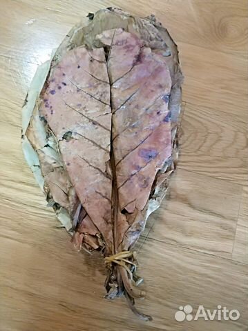 Листья Индийского миндаля