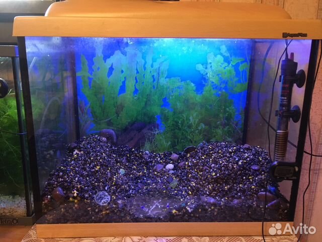 Аквариум AquaPlus 60л