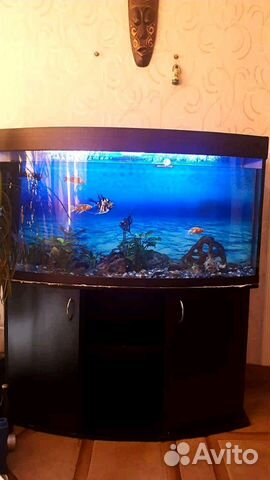 Аквариум с тумбой