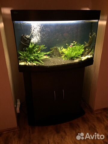 Аквариум биодизайн 120 л бу