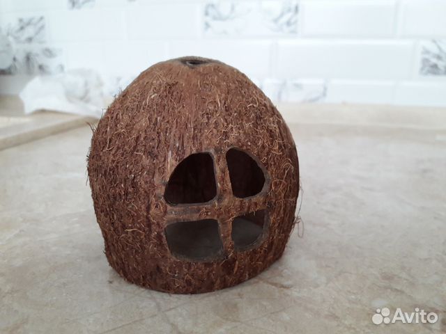 Кокос в аквариум