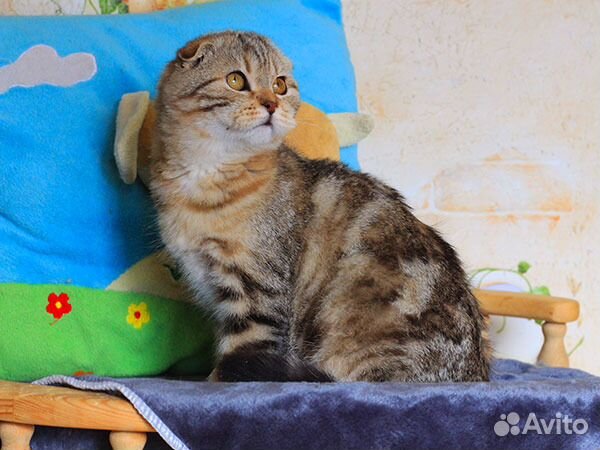 Кукольная мраморная красавица