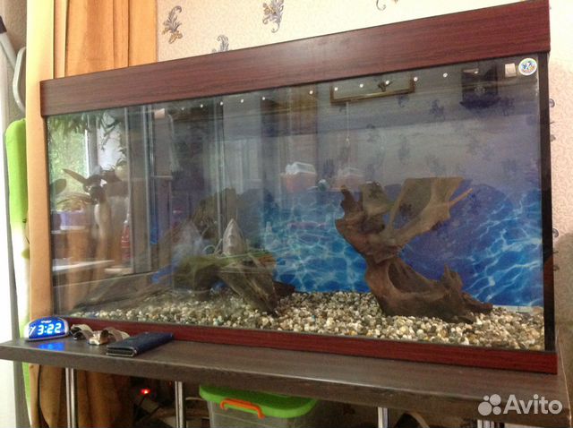 Аквариум