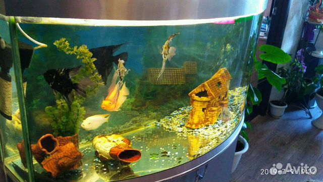 Аквариумный комплекс