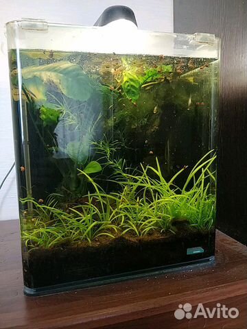 Аквариум NanoCub Denerli 30l