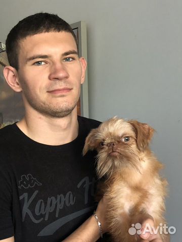 Девочка брюсселька