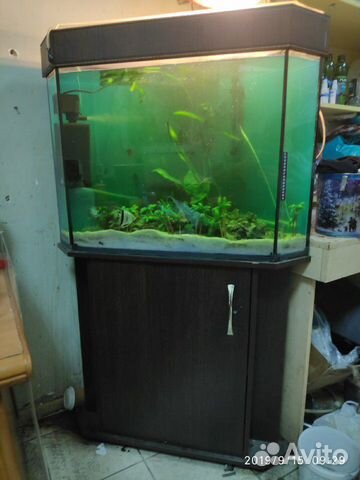 Аквариум угловой 140л с тумбой полный комплек
