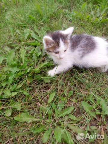 Не родись красивым, а родись счастливым