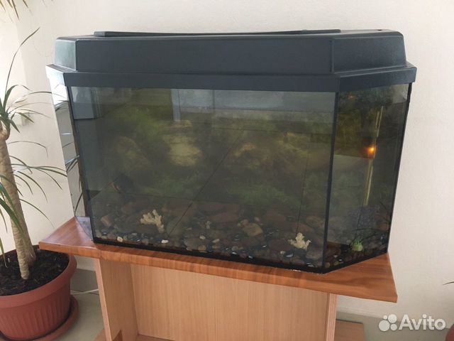 Аквариум