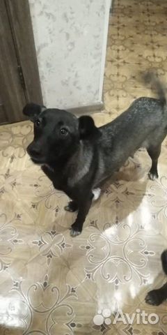 Нужен дом вопрос жизни и смерти