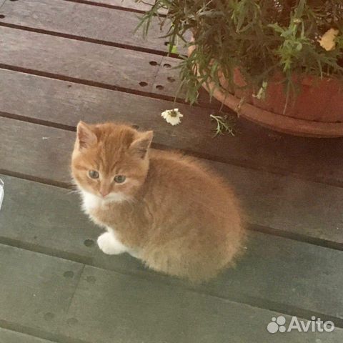 Мальчишка от 30.09, красивушее солнышко