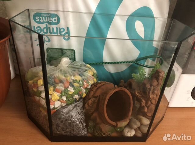 Аквариум
