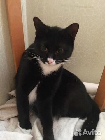 Гаечка в добрые руки