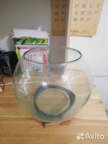 Аквариум СССР