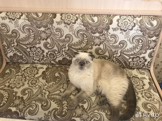 Отдам в хорошие руки