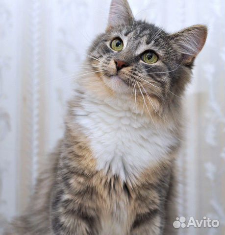 Принцесса София