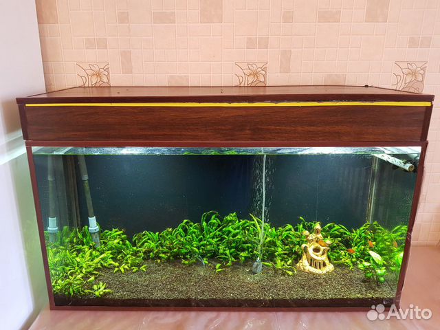 Аквариум 200л