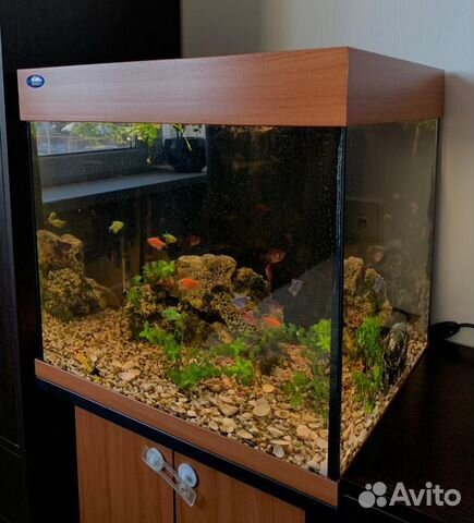 Аквариум