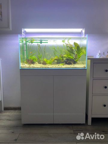 Аквариум optiwhite от Reefland (набор)