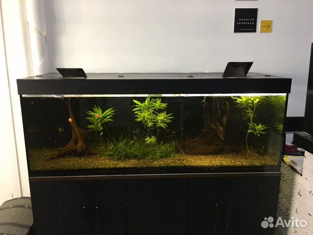 Аквариум 700 л