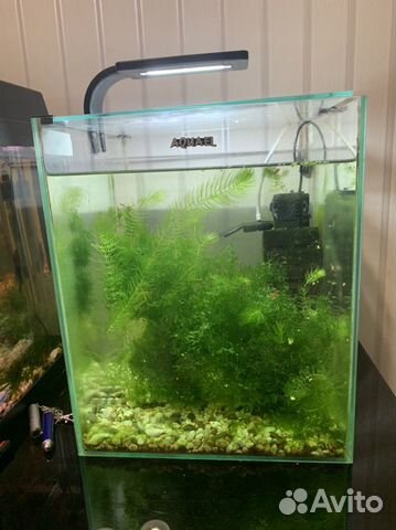 Аквариум aquael 30л