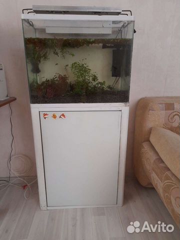 Аквариум с тумбой и оборудованием 100л