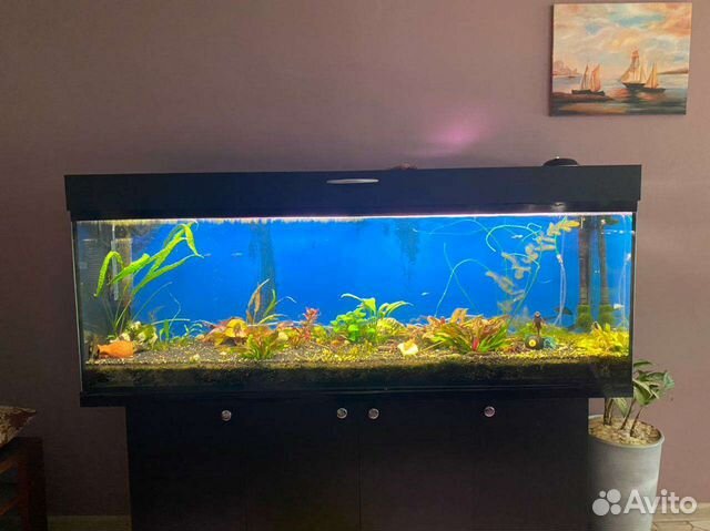 Аквариум 400л