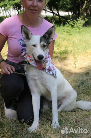 Хотели усыпить но спасли, а она ждёт маму