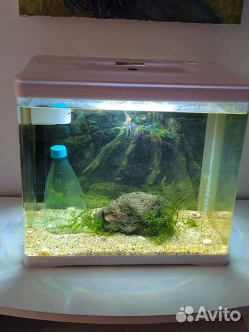 Аквариум