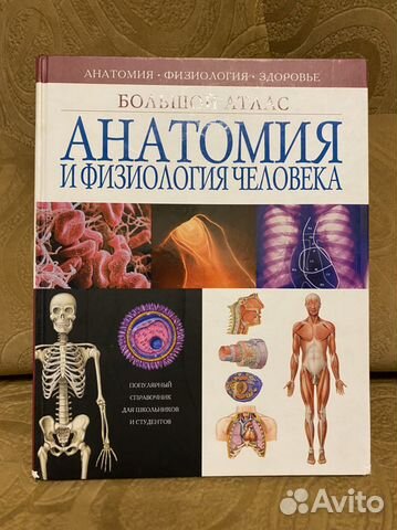 Книга анатомия человека купить в Москве | Хобби и отдых | Авито