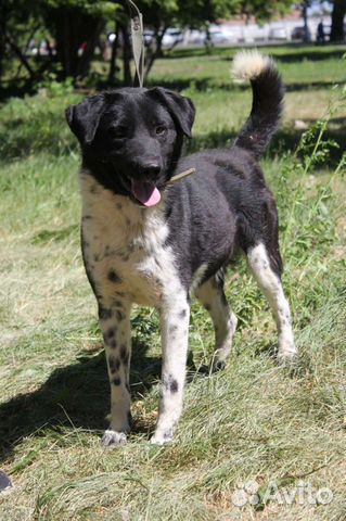 Его никто не замечает а он ждёт семью