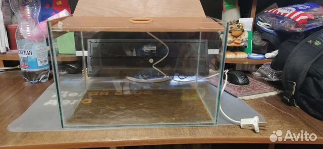 Аквариум Террариум