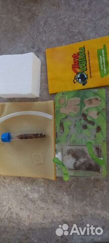 Муравьиная ферма бу