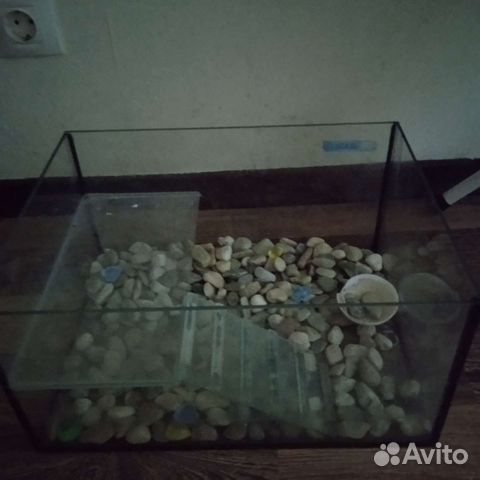 Аквариум
