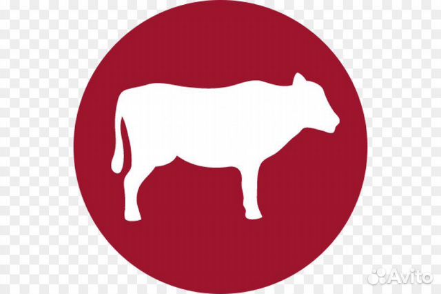 Коровы быки на мясо