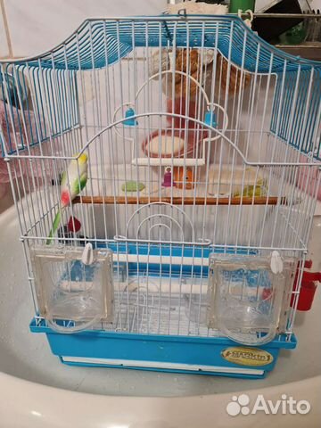 Клетка для волнистого попугая
