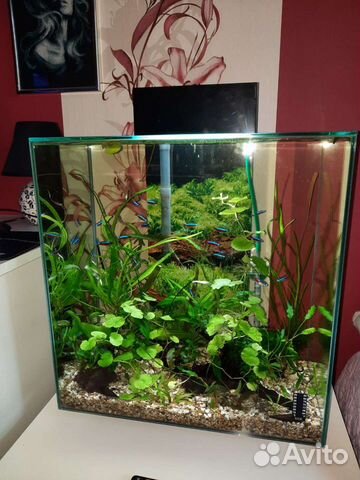 Аквариум 46 л