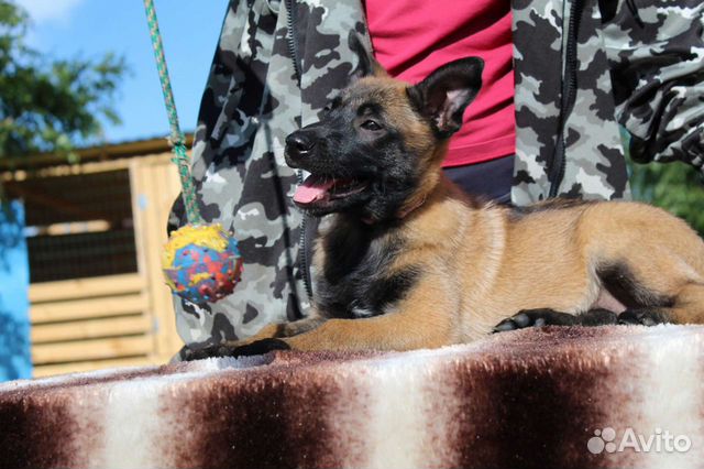 Девочка малинуа